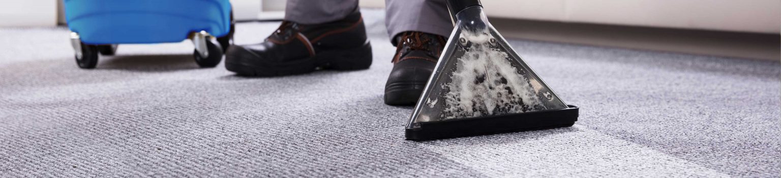 Box Extractors - NaceCare Solutions